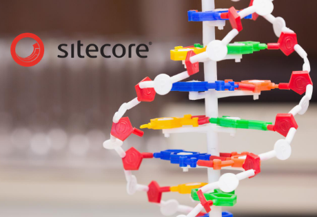 What is Sitecore Helix and Why Should We Use It? | ClerksWell